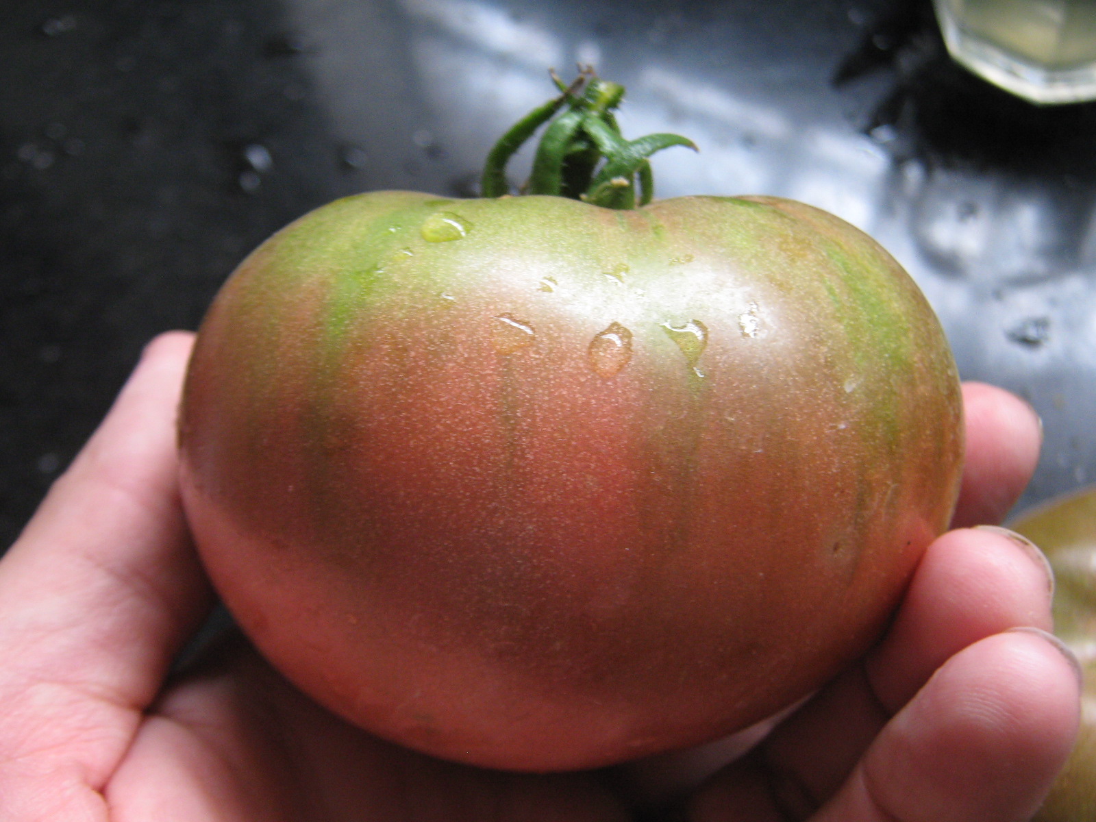 primeros tomates large barred boar – Huertas Urbanas